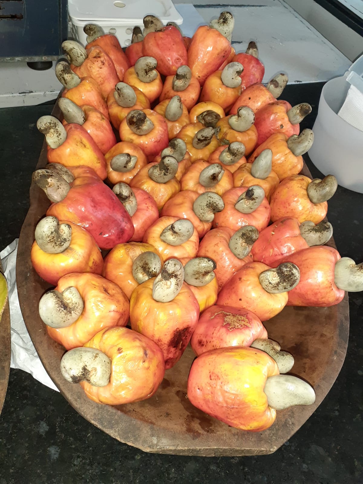 Castanha de Caju alimento rico em nutrientes que trazem bem-estar ...